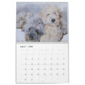 Labradoodles Calendar | Zazzle