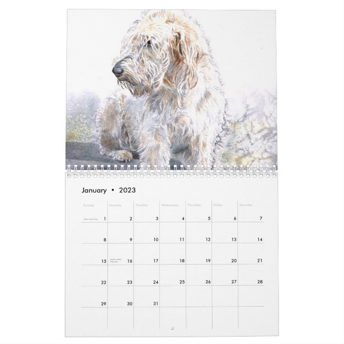 Labradoodles Calendar | Zazzle.com