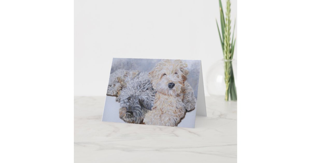 Labradoodles Two Greeting Cards | Zazzle
