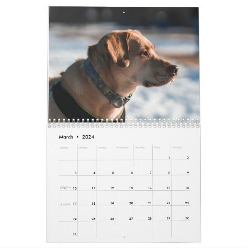 labrador calendar 2023 | Zazzle