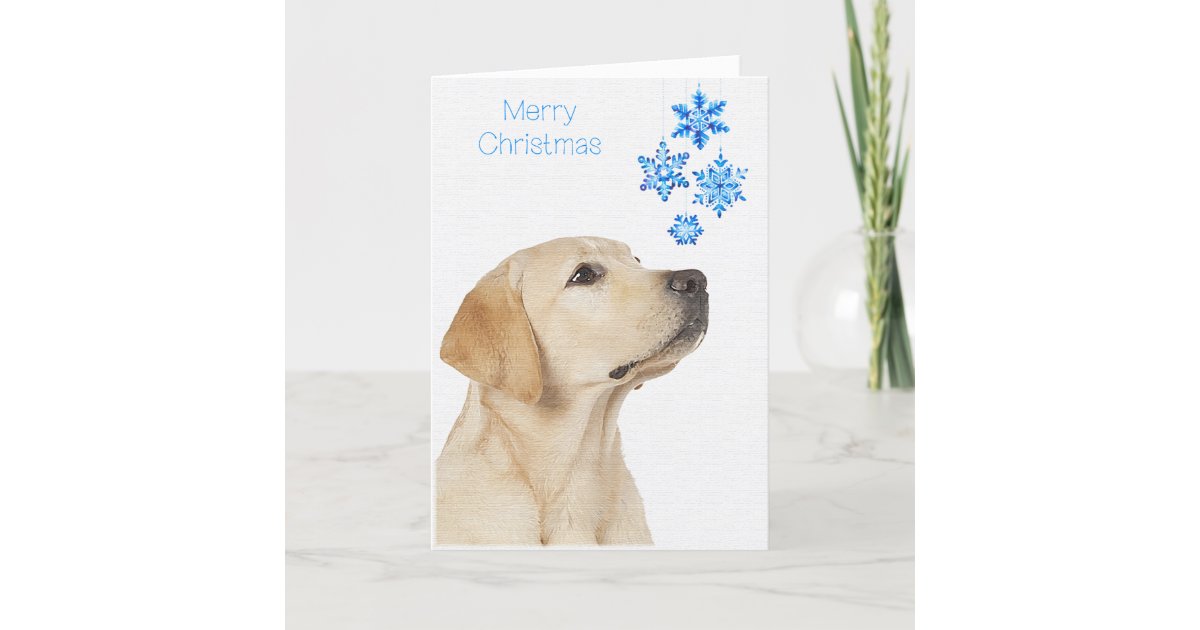 Labrador Christmas Card Yellow Labrador | Zazzle.com