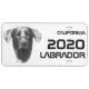 Labrador Dog funny customizable License Plate | Zazzle
