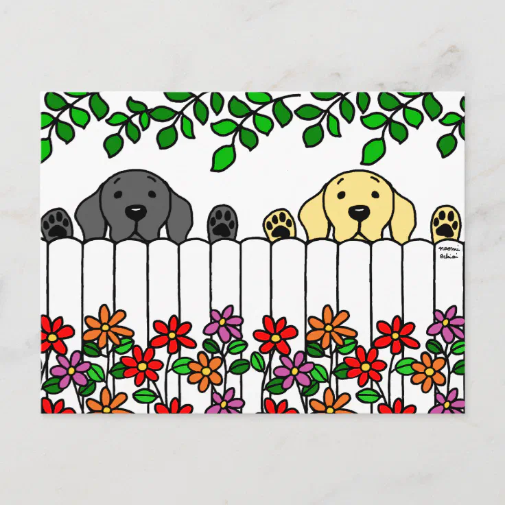 Labrador Duo Watching You Postcard | Zazzle