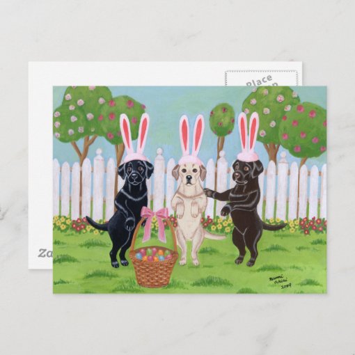 Labrador Easter Bunnies!! Holiday Postcard | Zazzle