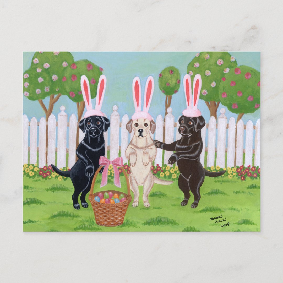 Labrador Easter Bunnies!! Holiday Postcard | Zazzle