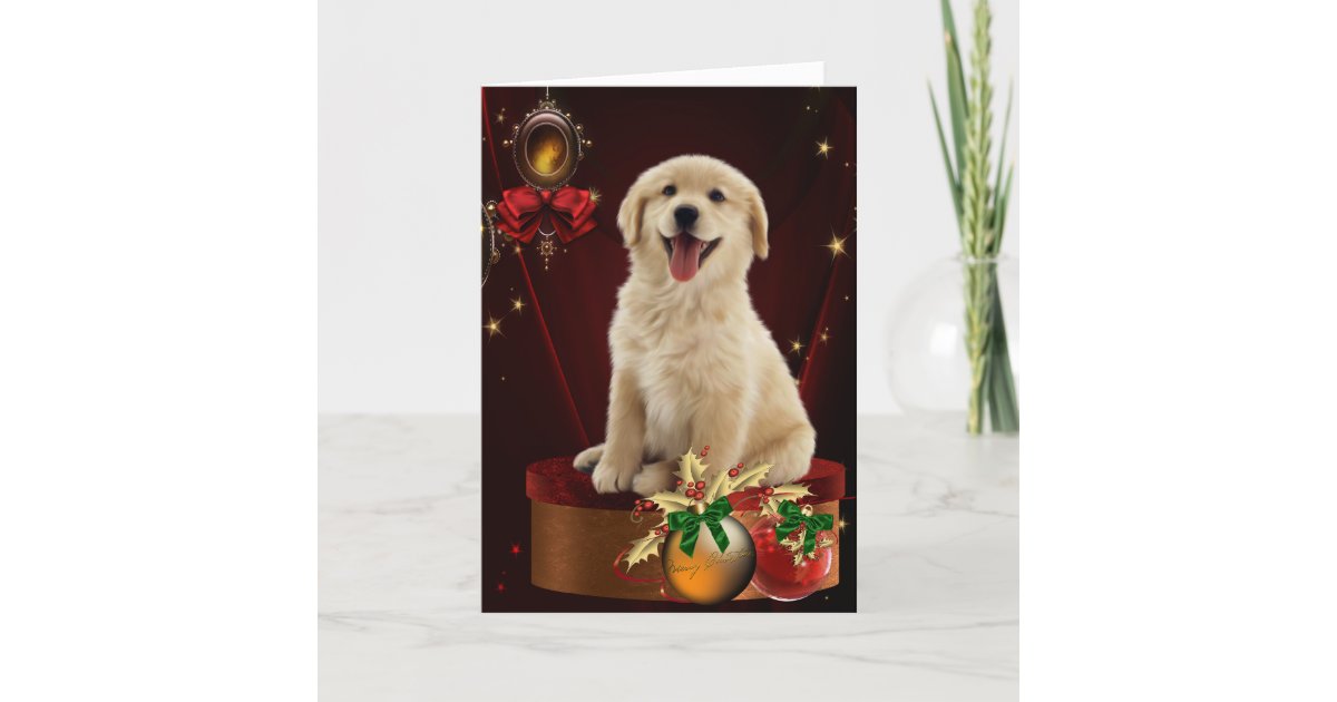 Labrador Golden Retriever Christmas Cards | Zazzle