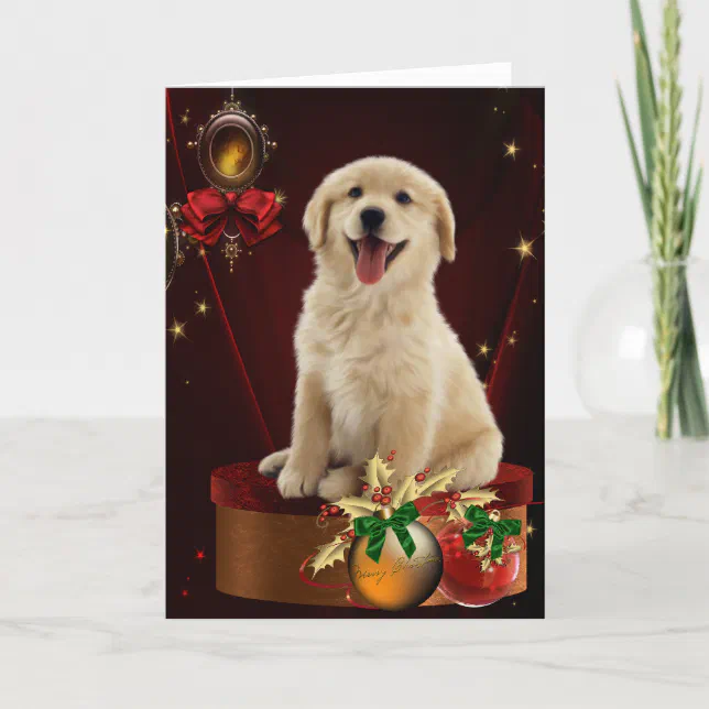 Labrador Golden Retriever Christmas Cards | Zazzle