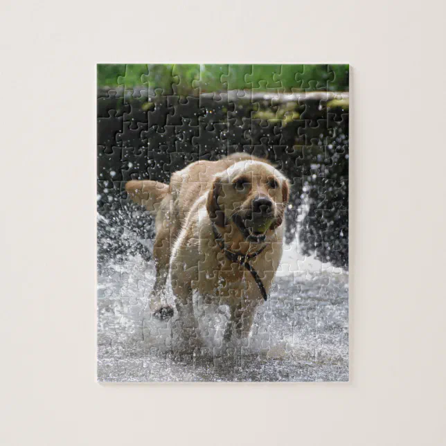 Labrador Jigsaw Puzzle | Zazzle