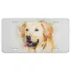 Labrador License Plate | Zazzle