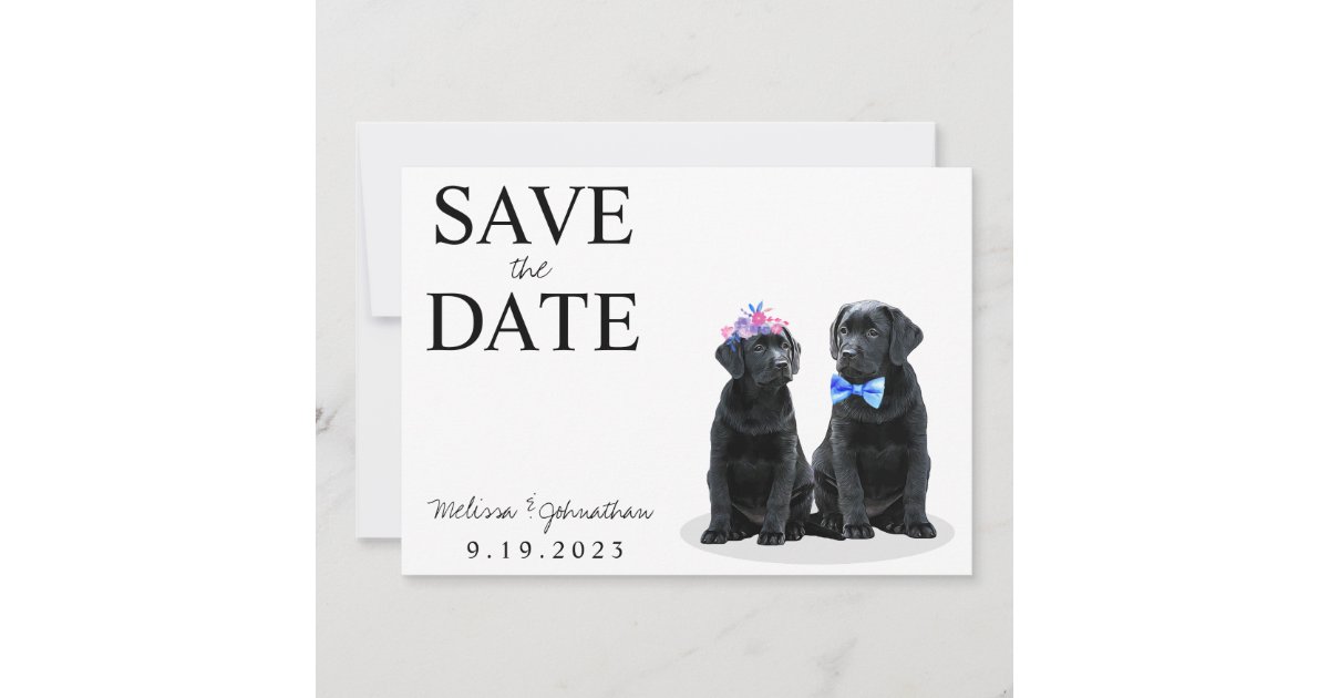 Labrador Retriever Black Lab Wedding Save The Date | Zazzle