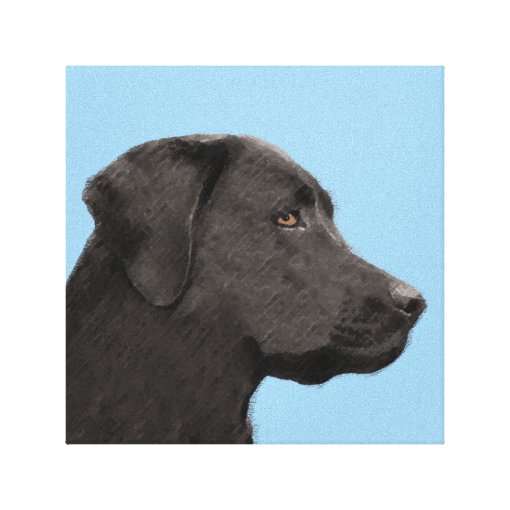 Labrador Retriever Black Painting Original Dog Art Canvas Print | Zazzle