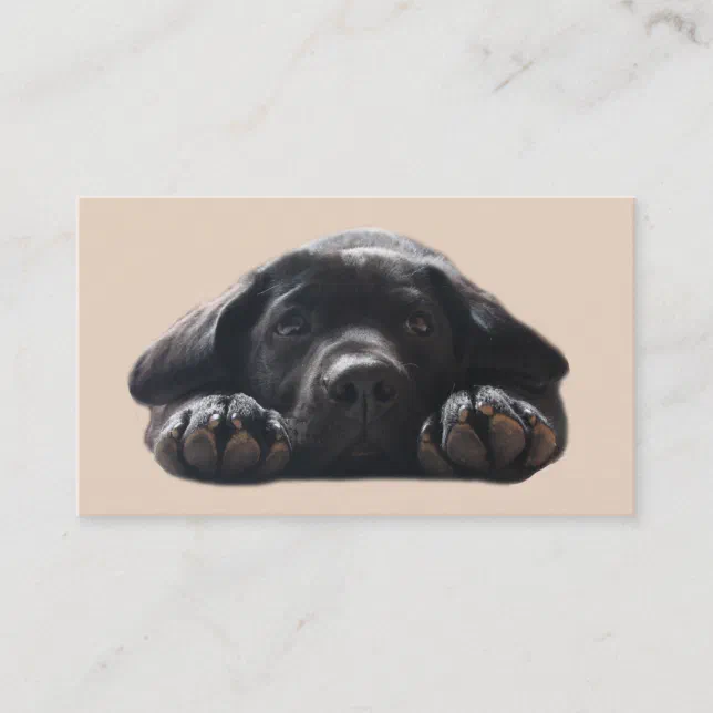 Labrador Retriever Breeder Business Card | Zazzle