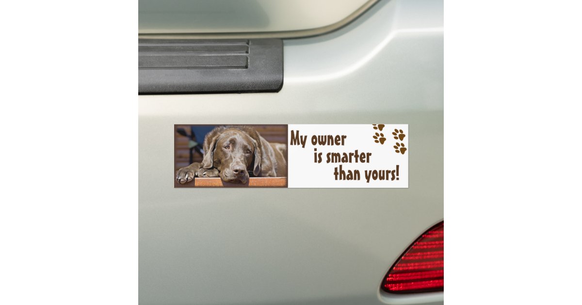 Labrador Retriever Dog Photo Funny Template Bumper Sticker | Zazzle