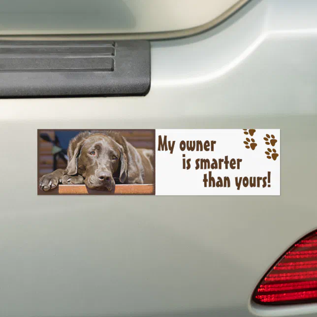 Labrador Retriever Dog Photo Funny Template Bumper Sticker | Zazzle