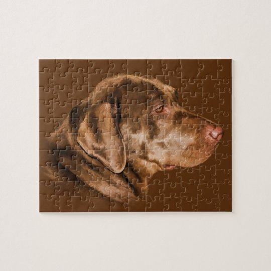 Labrador Retriever Dog, Puzzle, Customizable Jigsaw Puzzle | Zazzle.com
