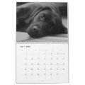 Labrador Retriever Dogs Calendar - Customizable | Zazzle