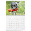 Labrador Retriever Dogs Calendar - Customizable | Zazzle