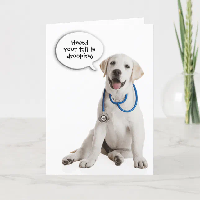 Labrador Retriever Get Well Soon Card | Zazzle