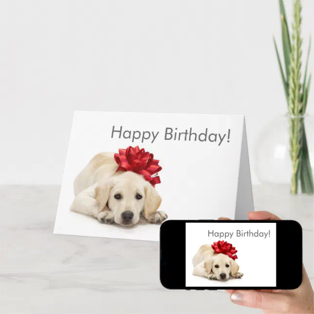 Labrador Retriever Happy Birthday Card | Zazzle