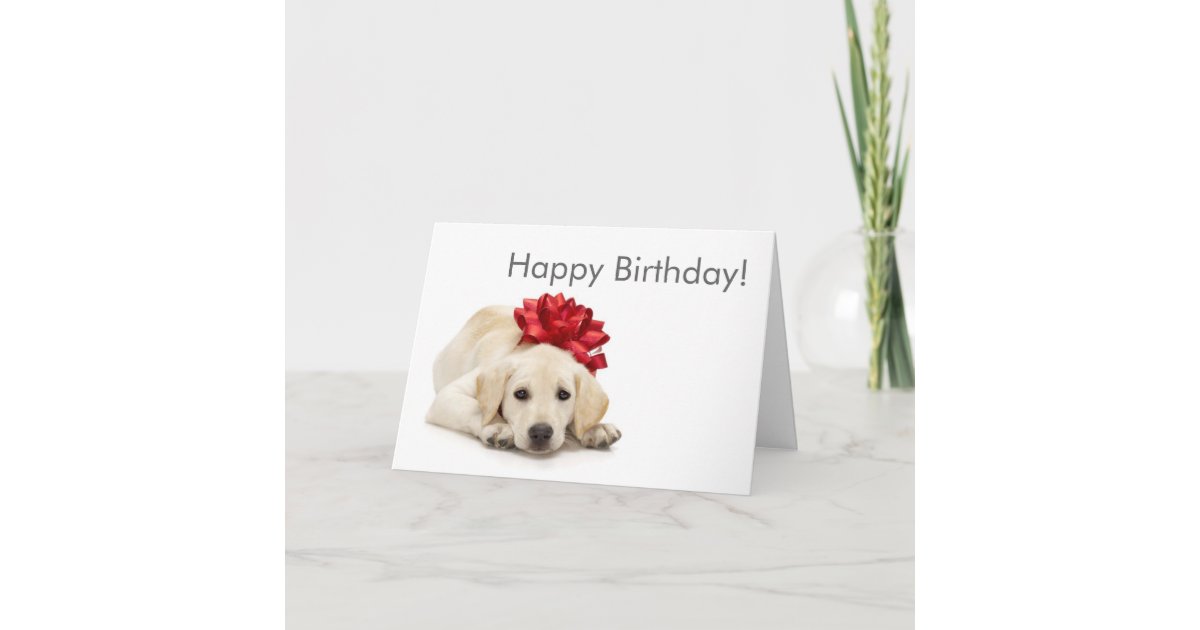 Labrador Retriever Happy Birthday Card | Zazzle