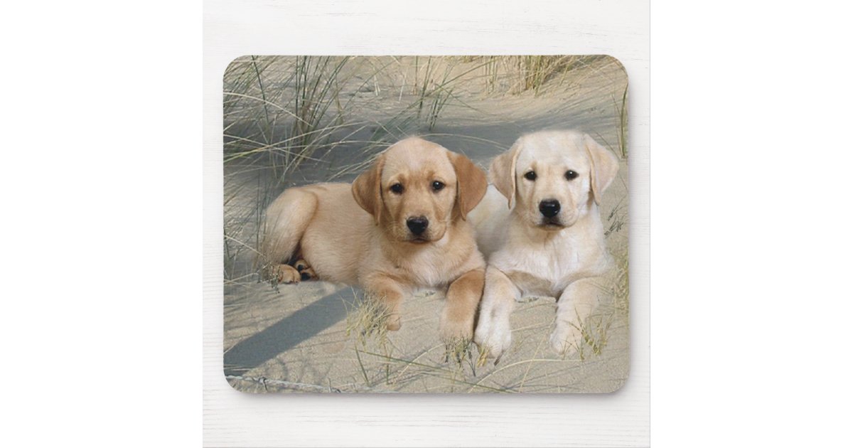 Labrador Retriever Mousepad Puppies | Zazzle