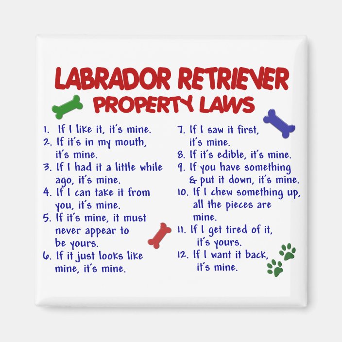 LABRADOR RETRIEVER Property Laws Magnet | Zazzle.com