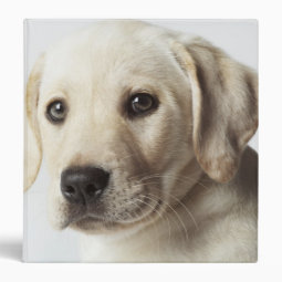 Labrador Retriever Puppy Binder | Zazzle