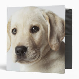 Labrador Retriever Puppy Binder | Zazzle