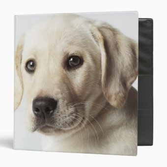 Labrador Retriever Puppy Binder | Zazzle