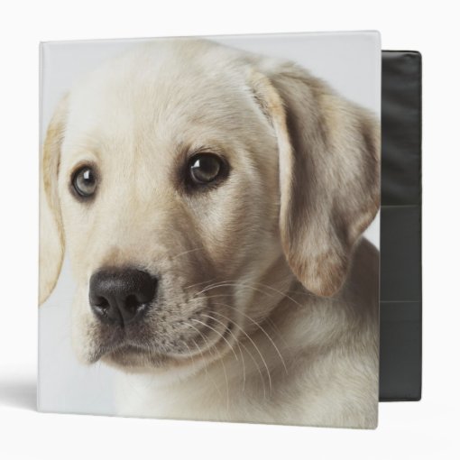 Labrador Retriever Puppy Binder | Zazzle