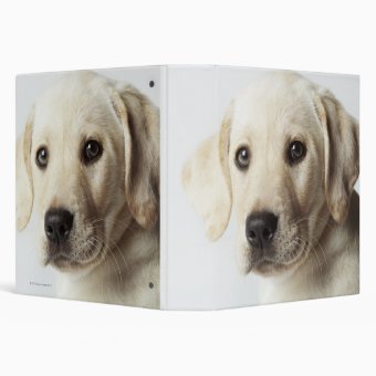 Labrador Retriever Puppy Binder | Zazzle
