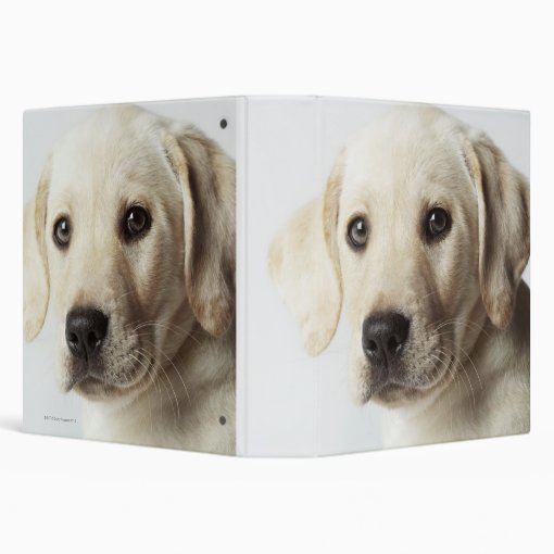 Labrador Retriever Puppy Binder | Zazzle