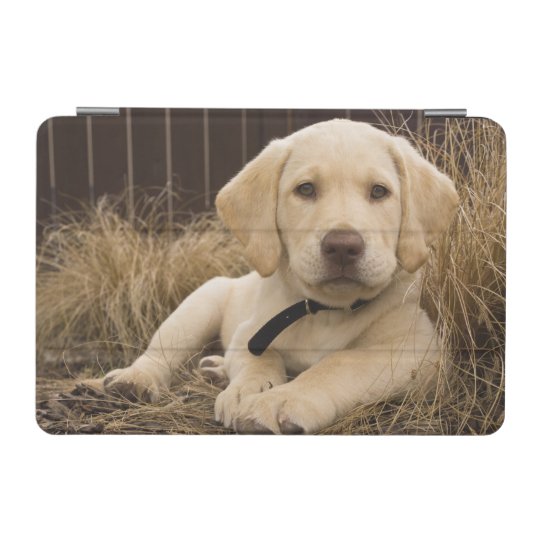 Labrador Retriever puppy iPad Mini Cover | Zazzle.com