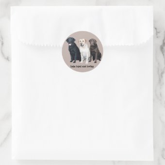 Labrador Retriever Sticker | Zazzle