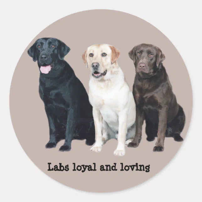 Labrador Retriever Sticker | Zazzle