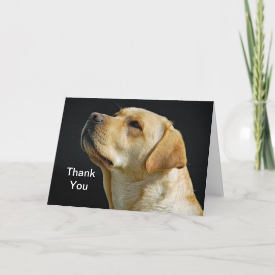 Labrador Retriever Thank You Card | Zazzle.com
