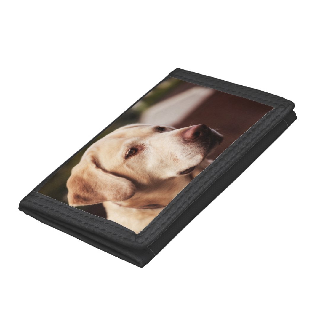 Labrador Retriever Tri-fold Wallet | Zazzle
