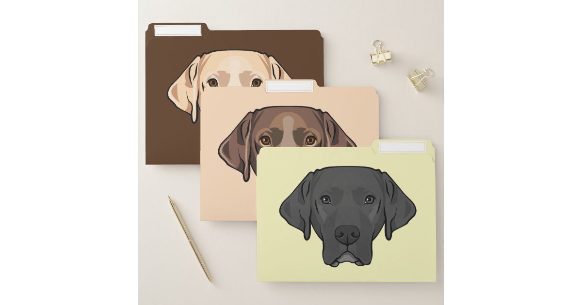 Labrador Retrievers Dogs Design File Folders Set | Zazzle