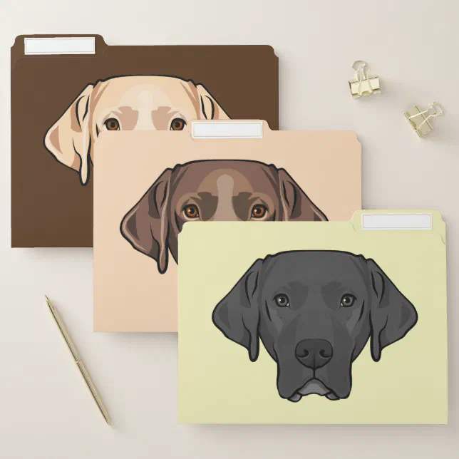Labrador Retrievers Dogs Design File Folders Set | Zazzle