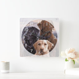 Labrador Retrievers Square Wall Clock | Zazzle