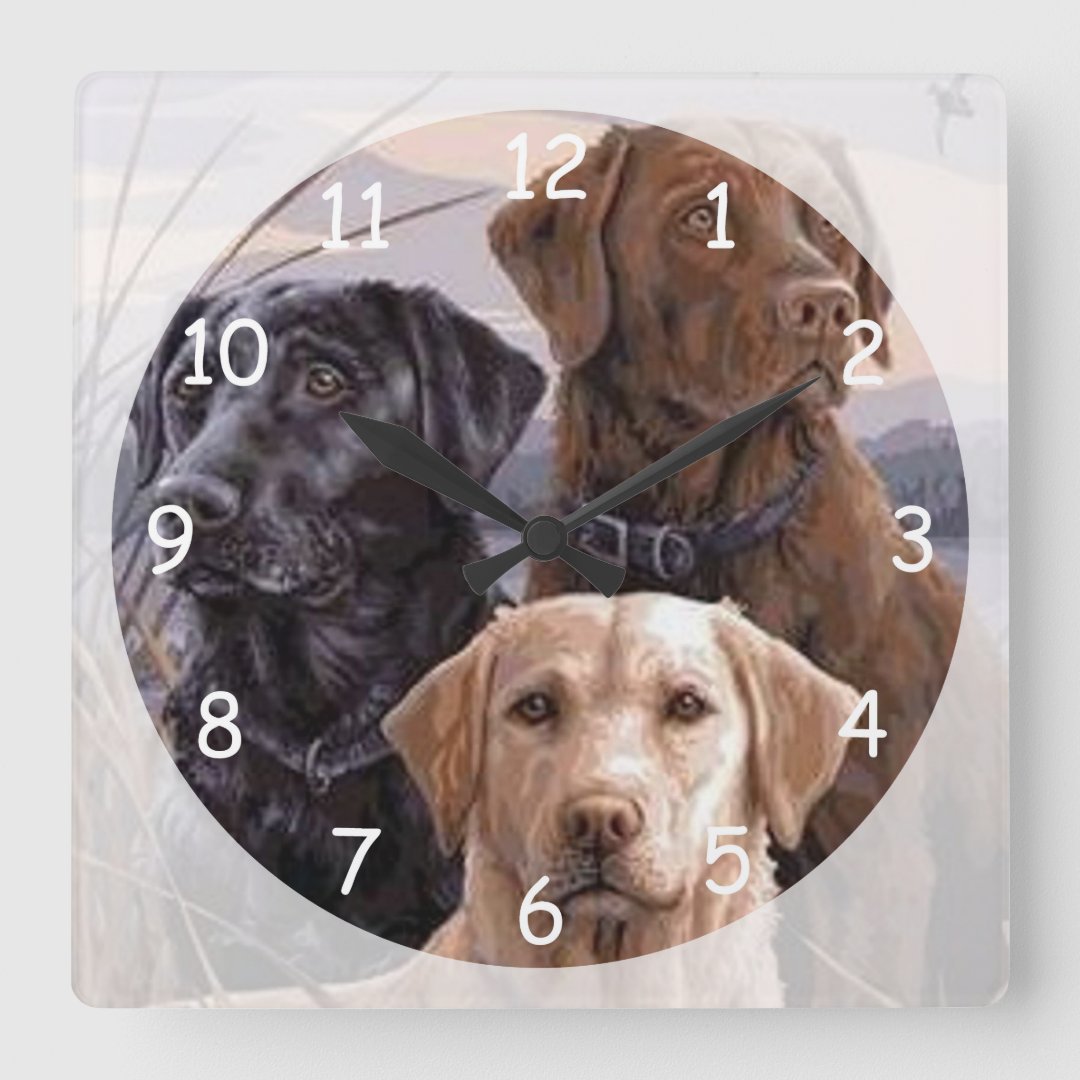 Labrador Retrievers Square Wall Clock | Zazzle