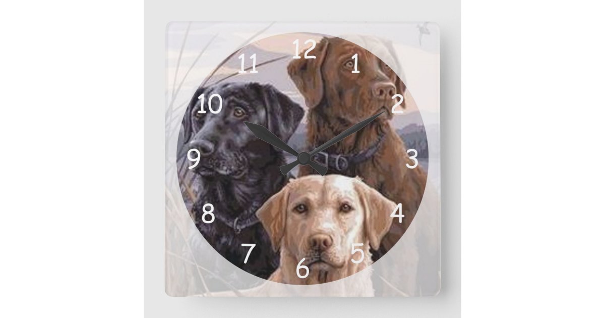 Labrador Retrievers Square Wall Clock | Zazzle
