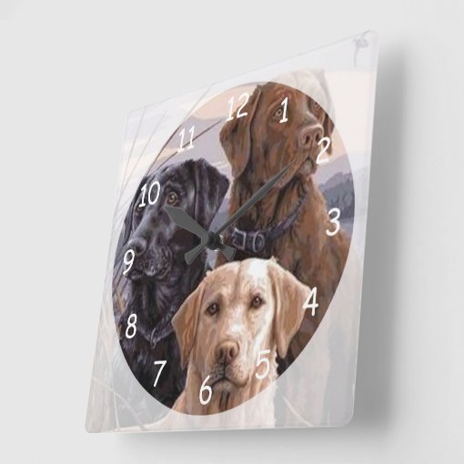 Labrador Retrievers Square Wall Clock | Zazzle