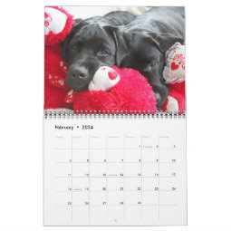 Labradorable Labs - Black Labrador Retriever Calendar | Zazzle