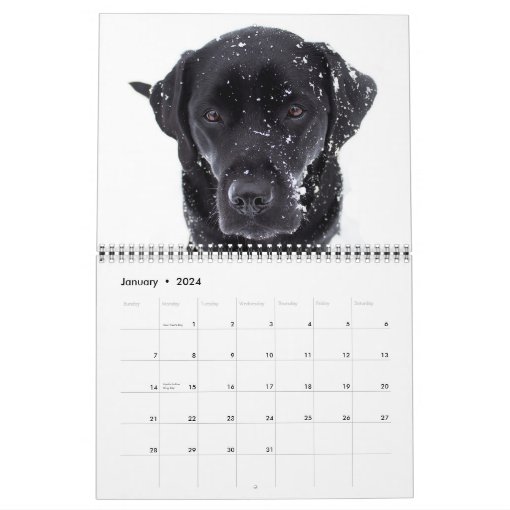 Labradorable Labs - Black Labrador Retriever Calendar | Zazzle