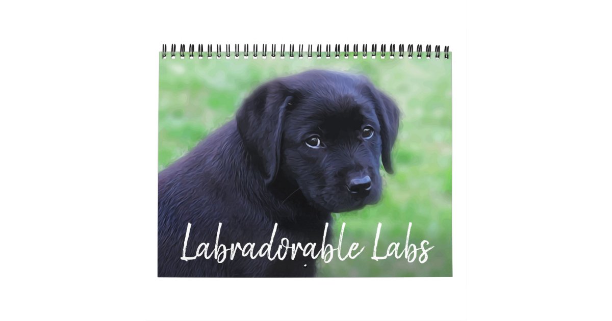 Labradorable Labs - Black Labrador Retriever Calendar | Zazzle