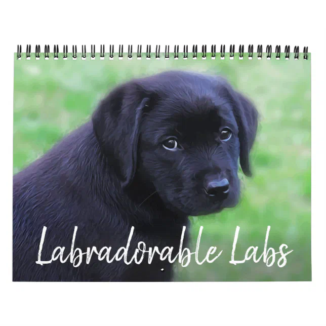 Labradorable Labs - Black Labrador Retriever Calendar | Zazzle