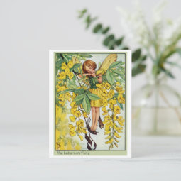 Laburnum Fairy Postcard | Zazzle