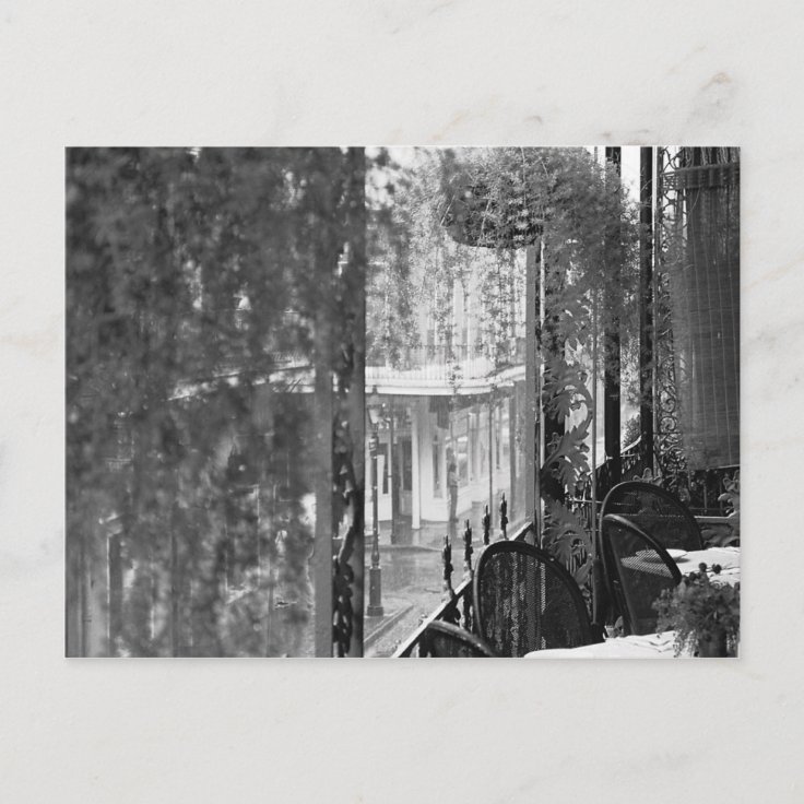 Lace View French Quarter New Orleans Postcard | Zazzle