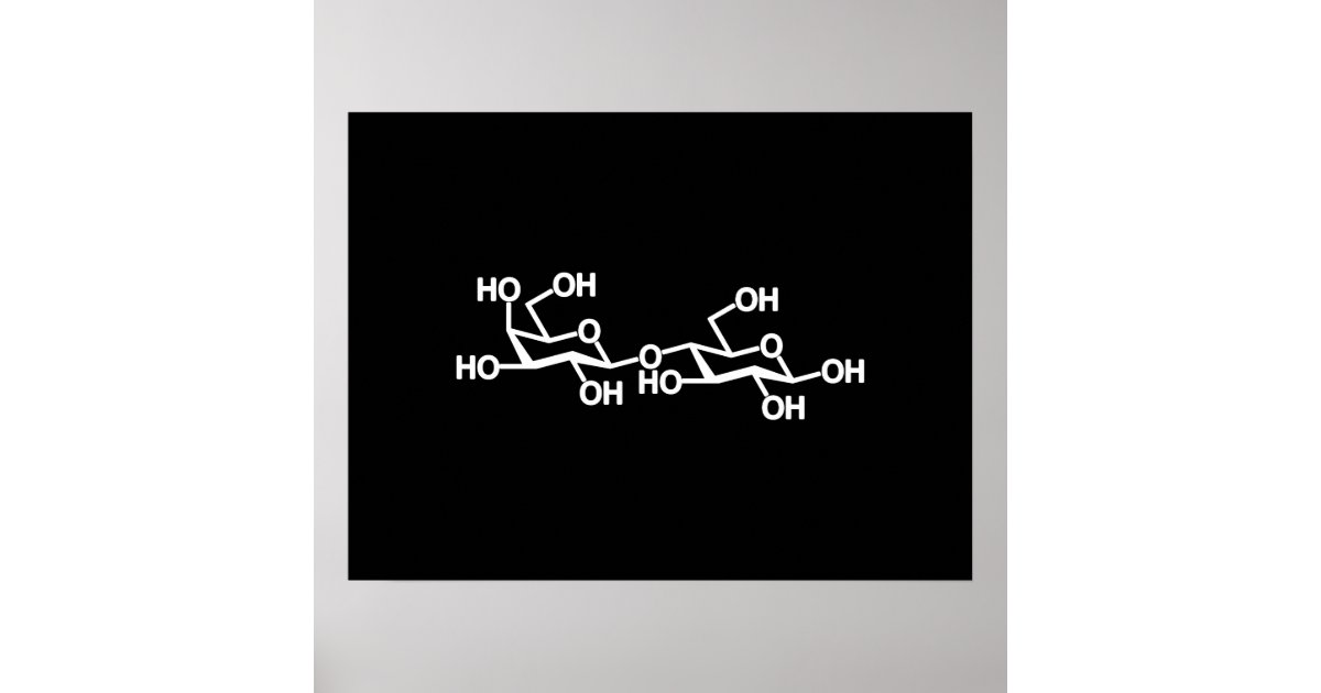 Lactose Milk Structure Poster | Zazzle